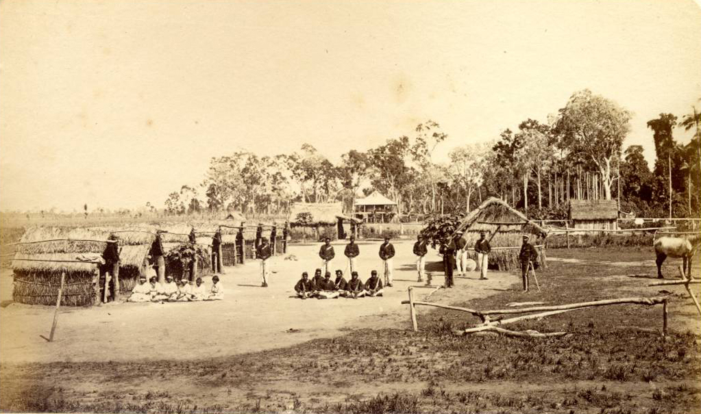Lower Herbert River Native Police camp, early 1870s | Queensland ...