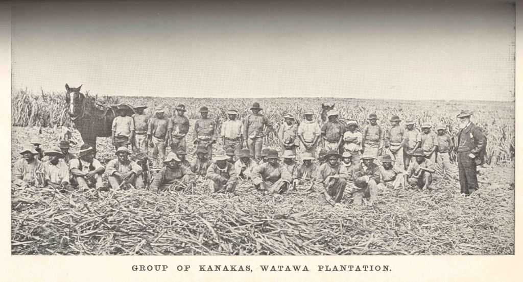 Group of South Sea Islanders, Watawa Plantation, Bingera, 1897 ...