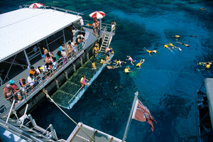 Tourists diving from a pontoon on the Outer Barrier Reef, 1991 ...